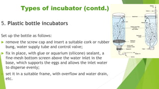 Incubator in aquaculture | PPTX