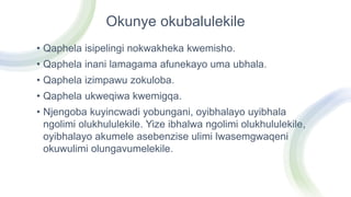 Incwadi Yobungani.pptx