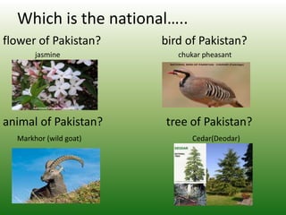 Independence Day of Pakistan | PPTX
