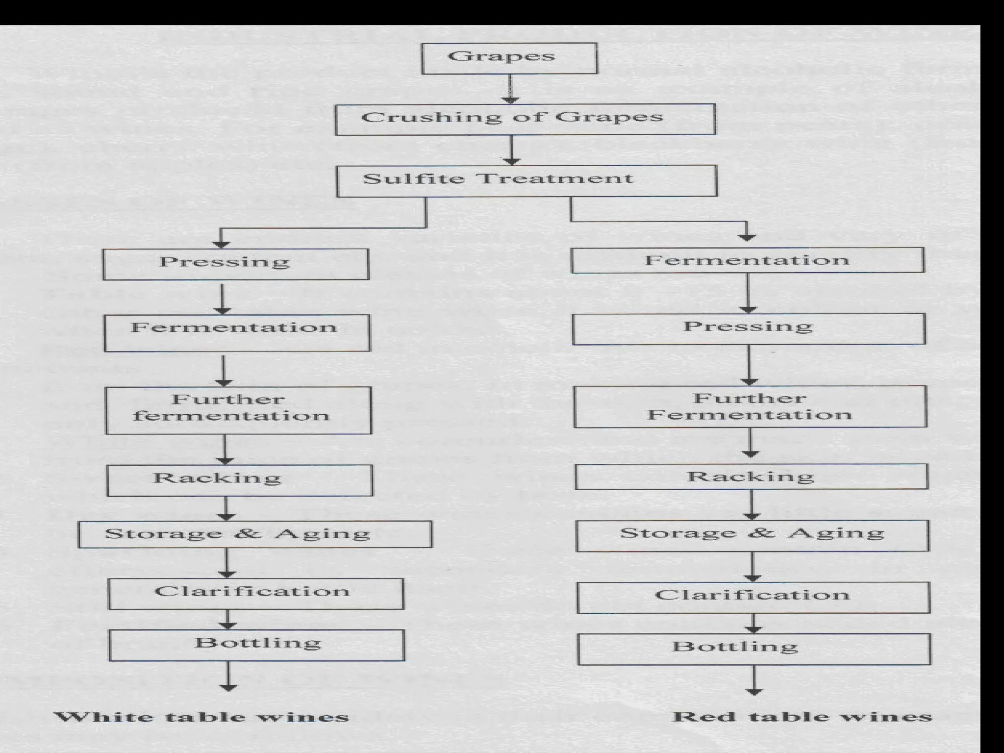IND. PROD. of WINES using commercial methods | PPTX | Alcoholic Beverages | Food & Drink