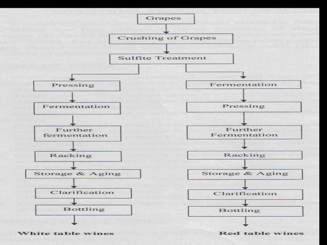 IND. PROD. of WINES using commercial methods | PPTX | Alcoholic Beverages | Food & Drink