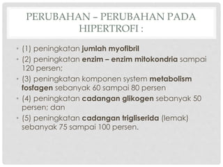 Fisiologi dan hypertrophy | PPT