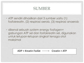 Fisiologi dan hypertrophy | PPT
