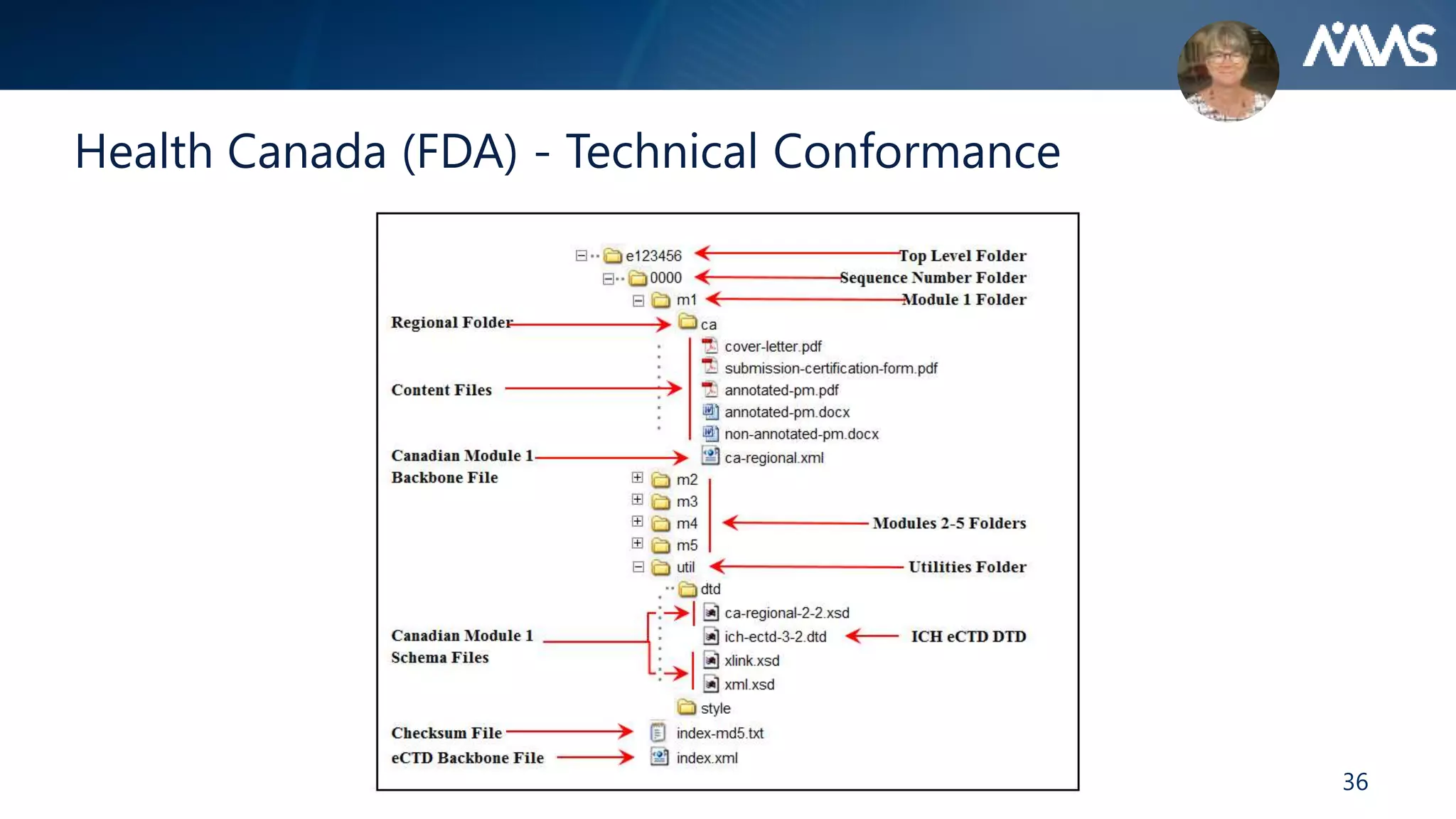 IND and CTA Webinar slides.pptx