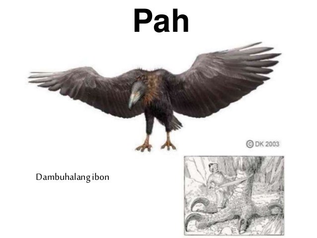 Indarapatra at Sulayman