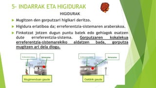 INDARRAK ETA HIGIDURAK (2).pdf