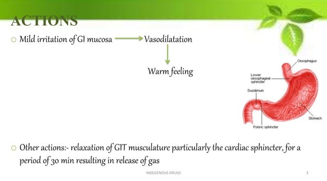 Indegenous drugs | PPTX