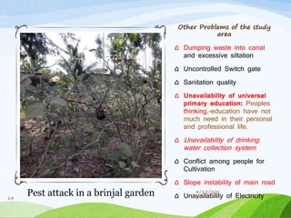 Indeginous knowledge for responding cyclone and frequently flood on ...