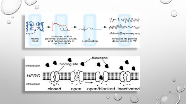 Ind enabling studies. | PDF
