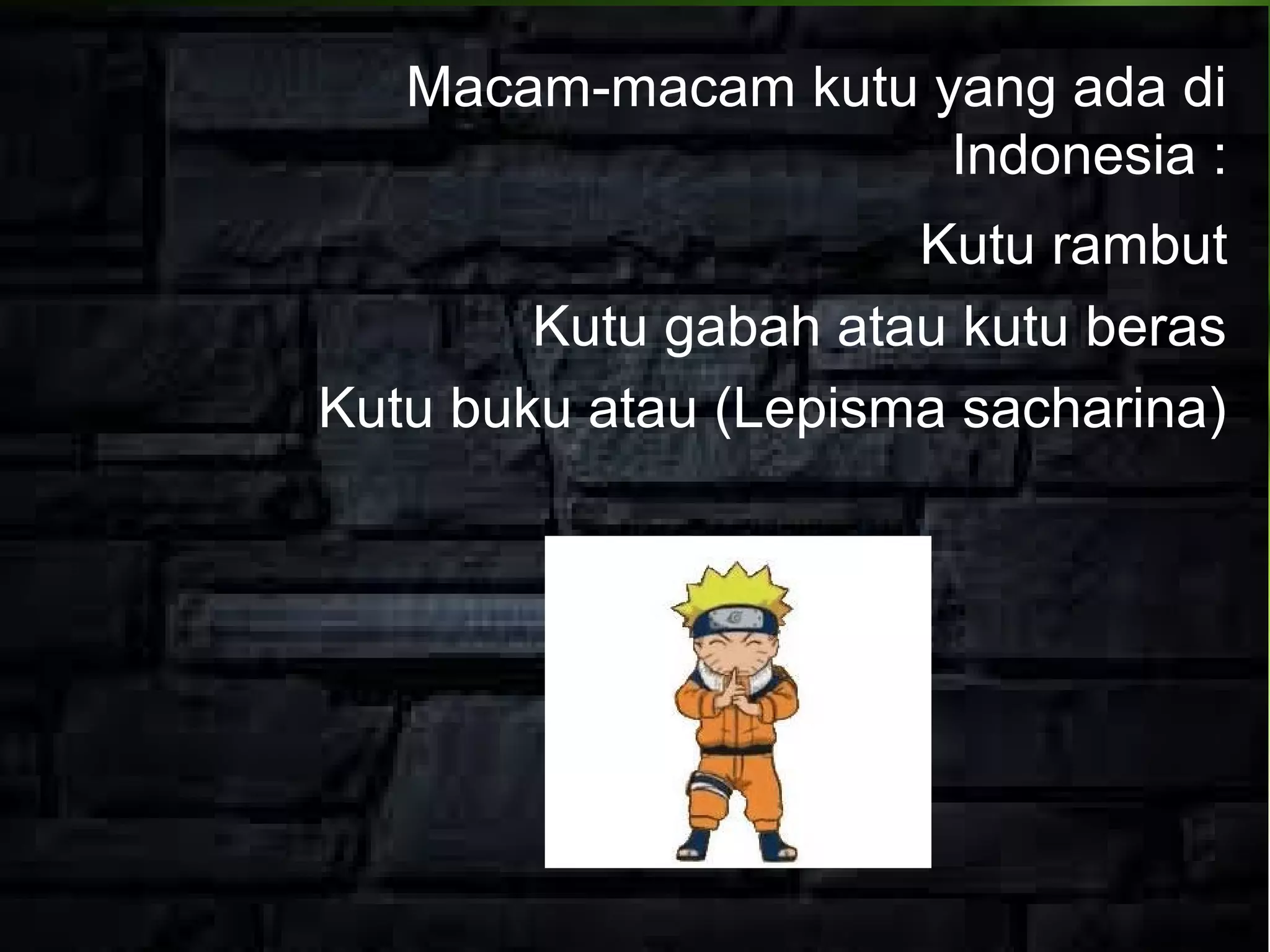 Indentifikasi kutu | PPT