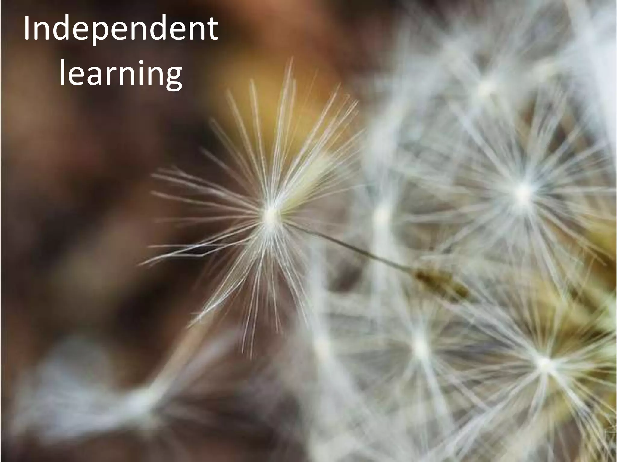 Independant learning | PPTX