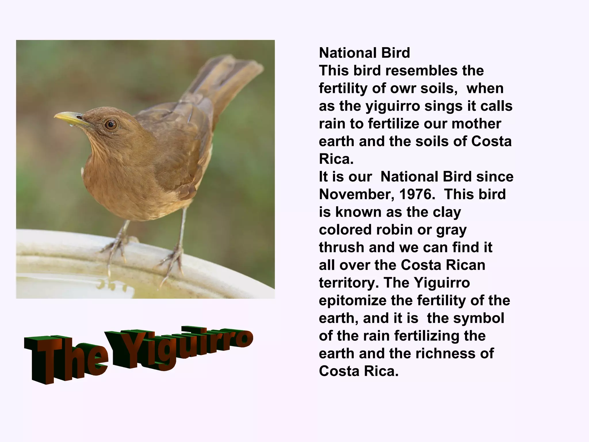 Celebrating Costa Ricas Independence day . | PPT