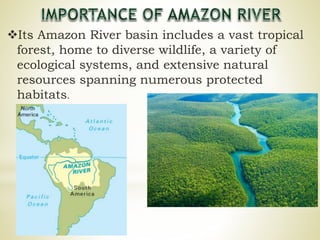 Independence in brazil | PPTX