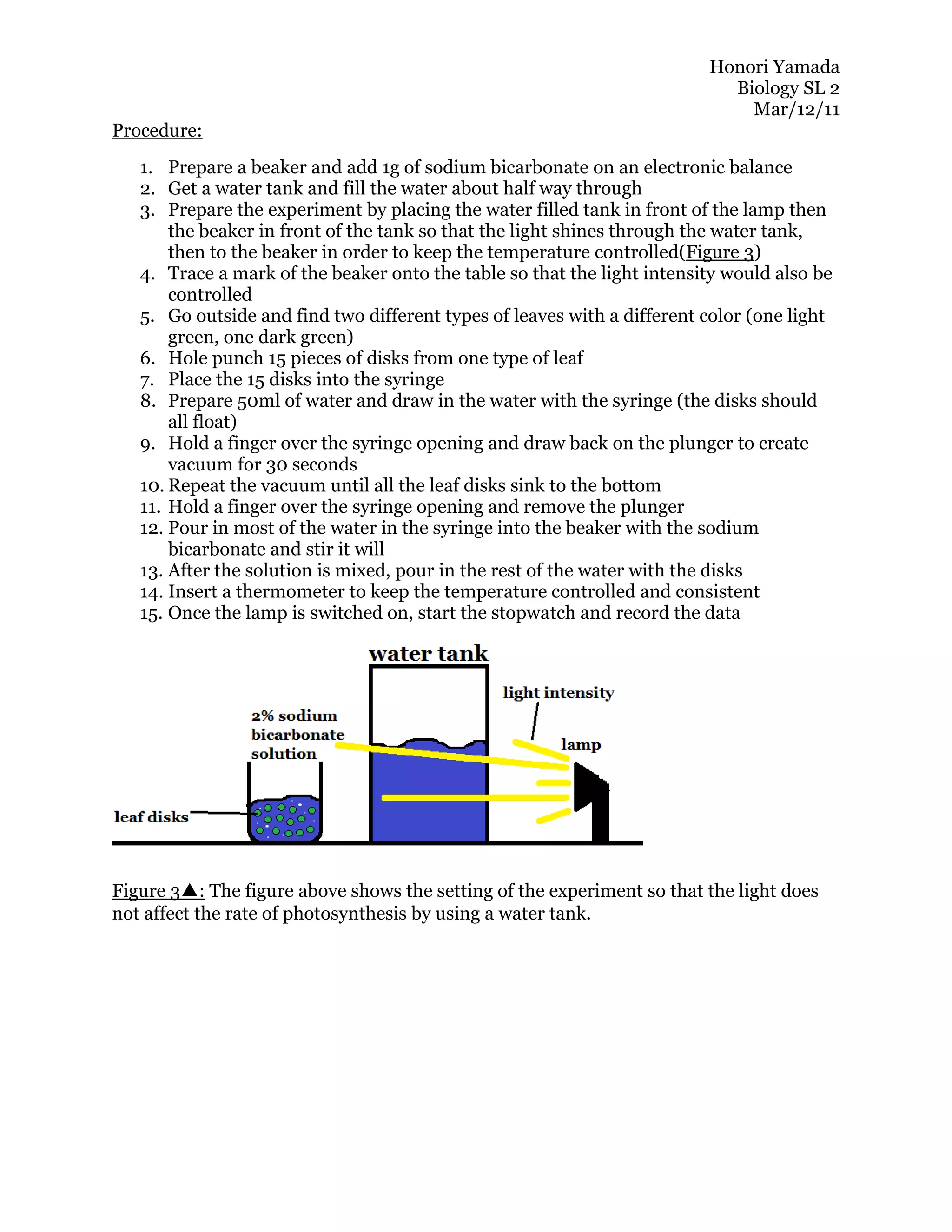 Independent Research Leaf Disc Photosynthesis Lab | DOCX