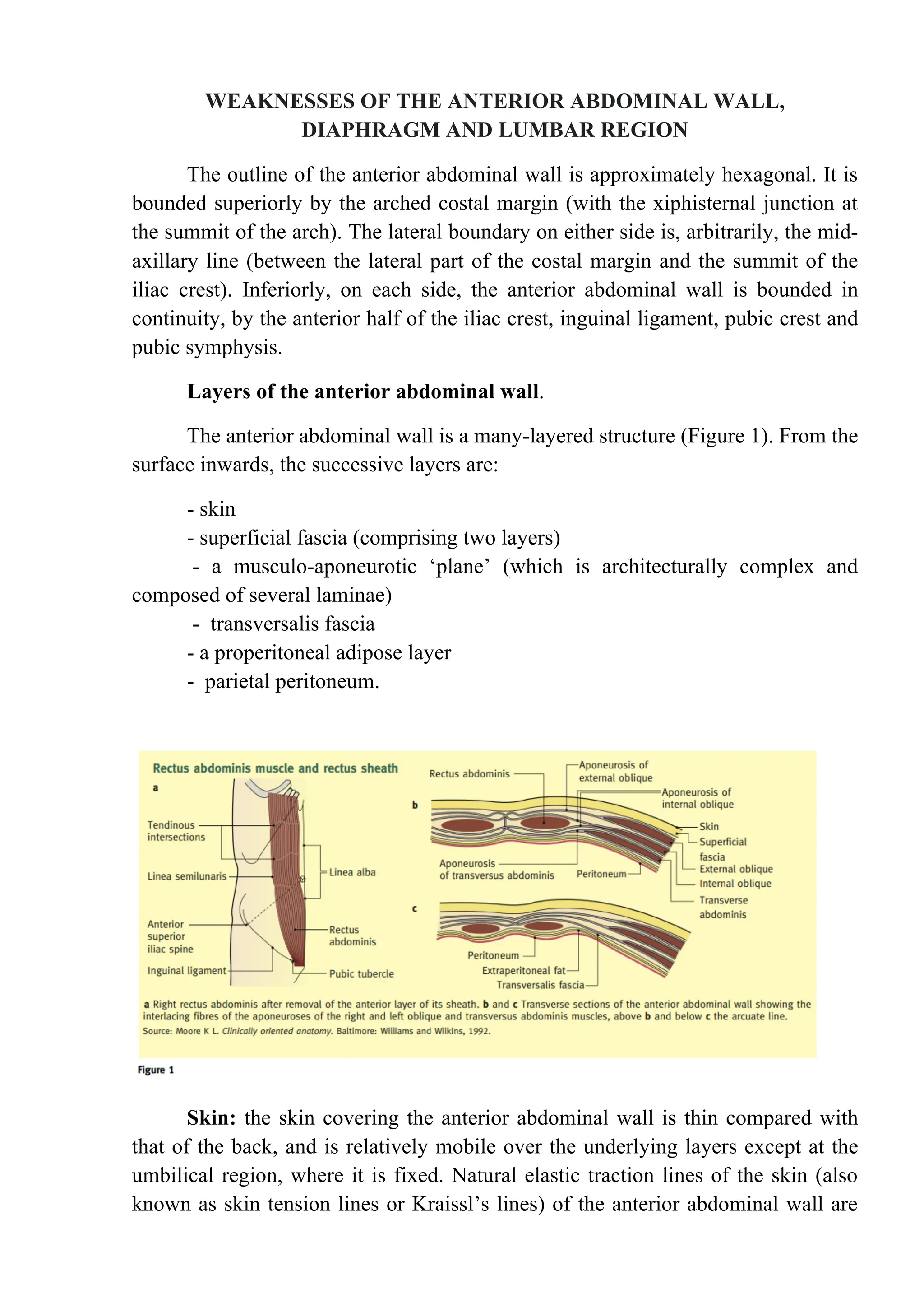 Indep work _Weaknesses of the anterior abdominal wall_ (4).pdf