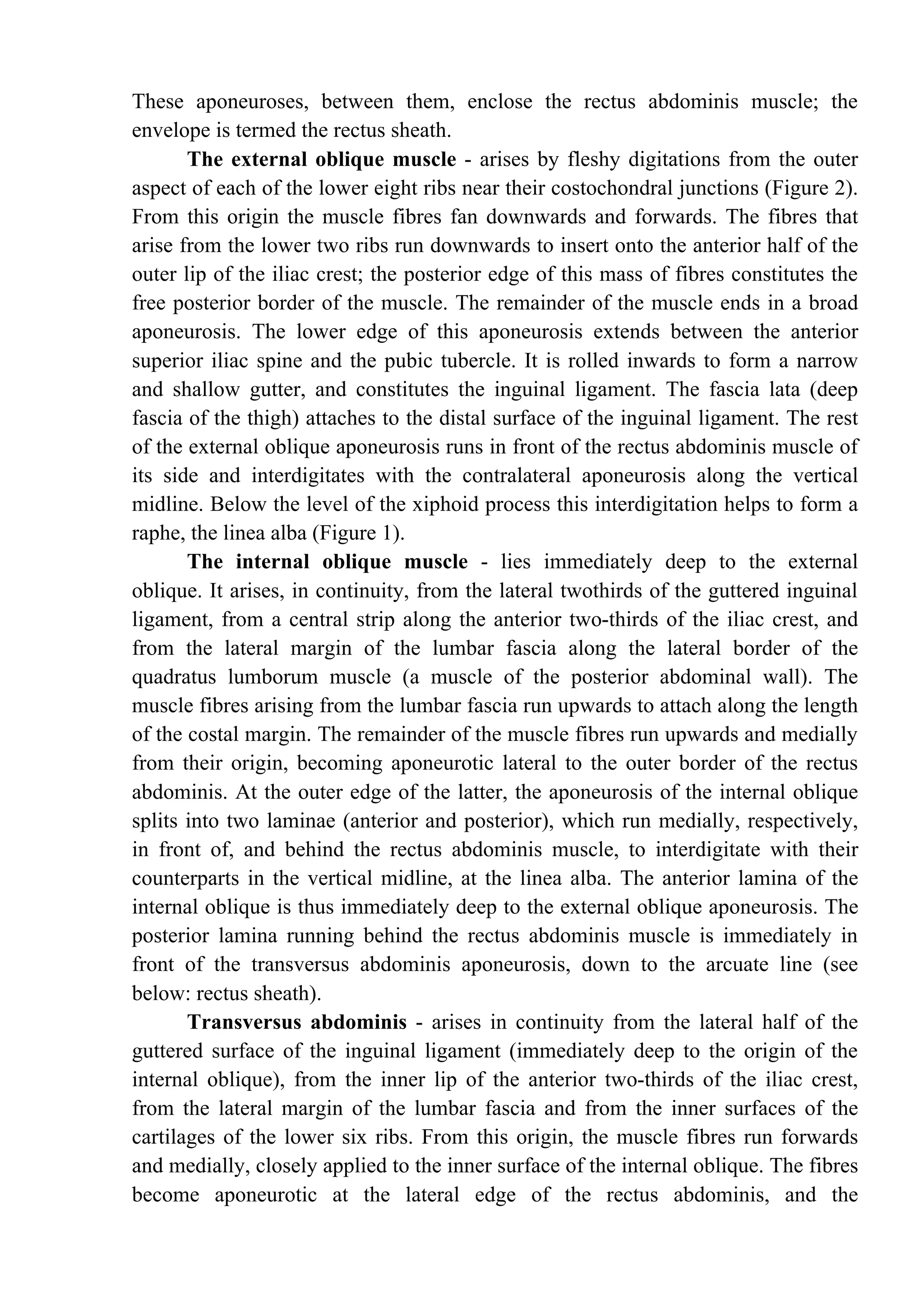 Indep work _Weaknesses of the anterior abdominal wall_ (4).pdf