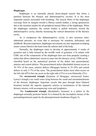 Indep work _Weaknesses of the anterior abdominal wall_ (4).pdf