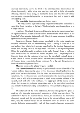 Indep work _Weaknesses of the anterior abdominal wall_ (4).pdf