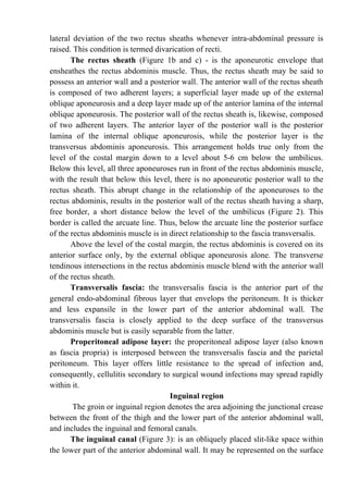 Indep work _Weaknesses of the anterior abdominal wall_ (4).pdf