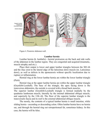 Indep work _Weaknesses of the anterior abdominal wall_ (4).pdf