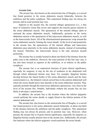 Indep work _Weaknesses of the anterior abdominal wall_ (4).pdf