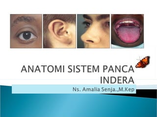 Indera manusia | PPT