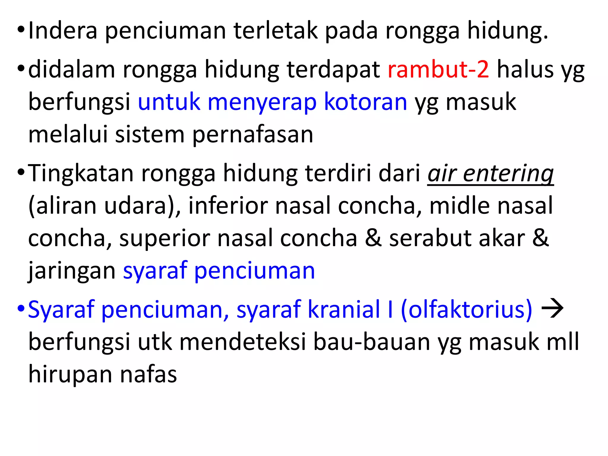Indera pembauan | PPTX