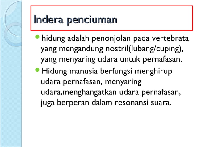 Indera penciuman dan pendengaran | PPT