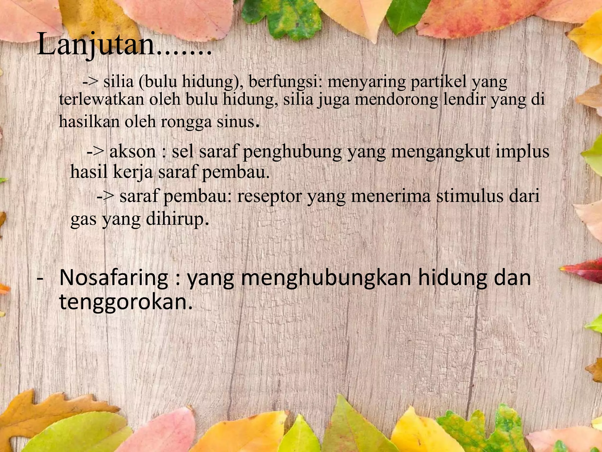 INDERA PENCIUMAN KEL.3.pptx