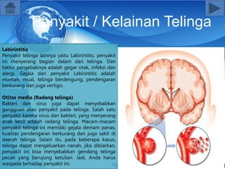 Indera Pendengaran (Telinga) | PPTX