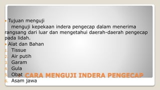 INDERA PENGECAP KEL.4.pptx