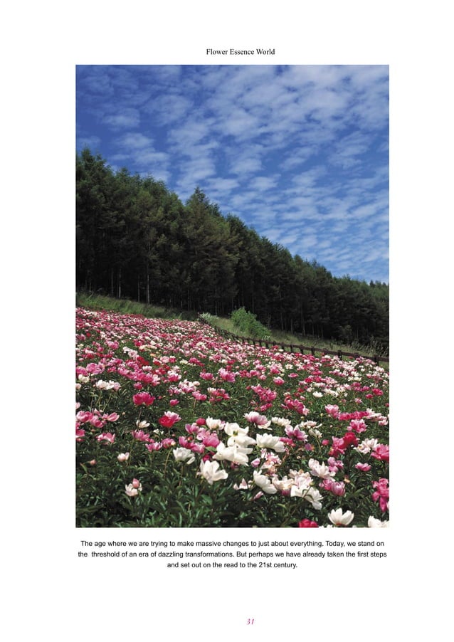 Indesign surah bichig | PDF