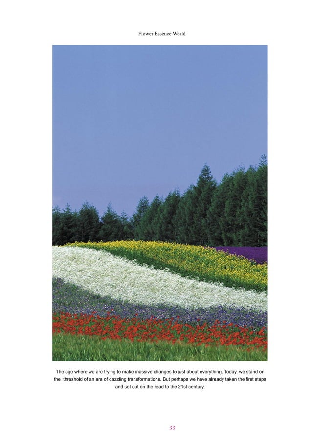 Indesign surah bichig | PDF