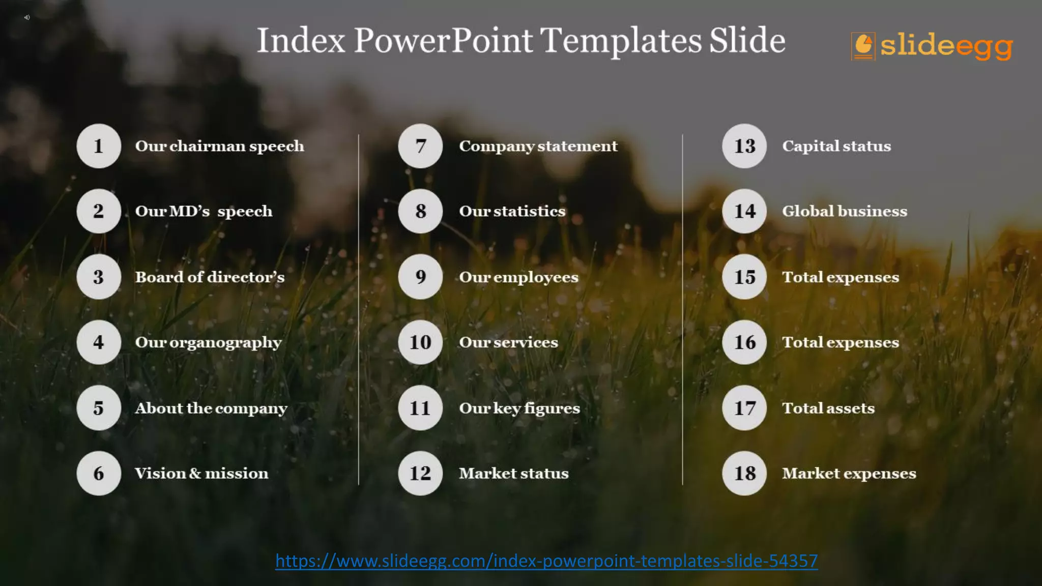 Index Slide | PDF