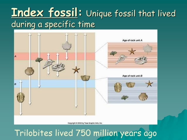 Index Fossil.ppt