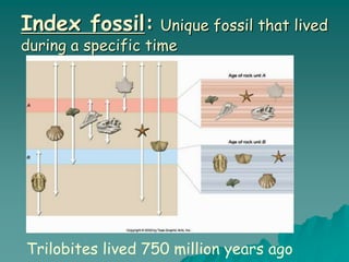 Index Fossil.ppt