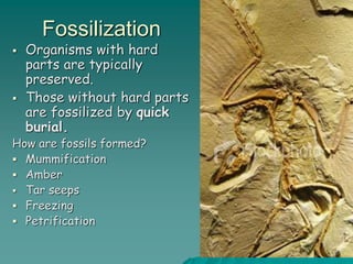 Index Fossil.ppt