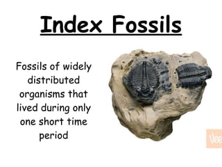 Index fossils | PPT