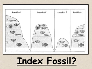 Index Fossils For Kids