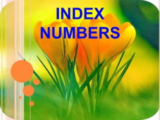 Index Numbers.pptx | Stocks and Bonds | Personal Investing