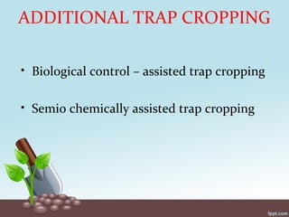 Trap crops in pest management | PPT | Agriculture | Industries