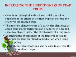 Trap crops in pest management | PPT