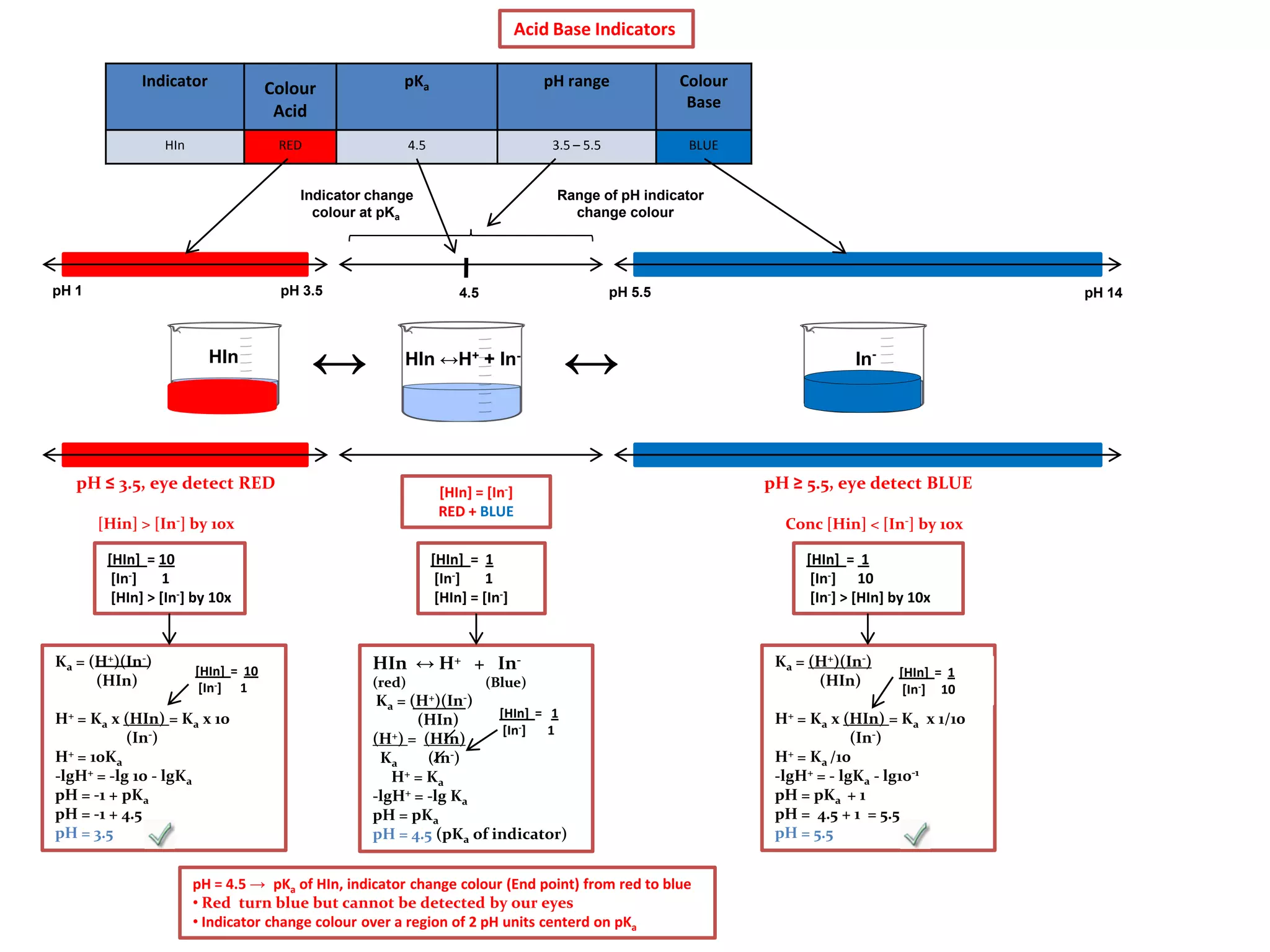 IB Chemistry on Acid Base Indicators and Salt Hydrolysis | PDF