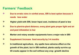 12109- SRI : Lessons from Chhattisgarh | PPT