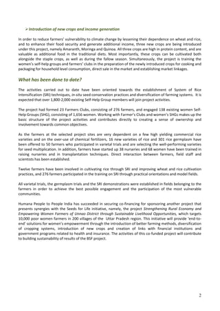 India Final Brief-Edited | PDF