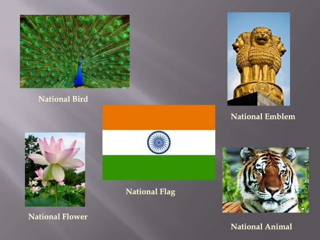 Colours of India- Its culture and Values | PPTX | Hinduism | Religion ...