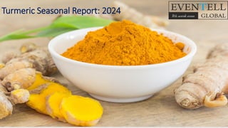 India-turmeric-2024-crop-progress-and-prospects.pdf