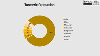India-turmeric-2024-crop-progress-and-prospects.pdf