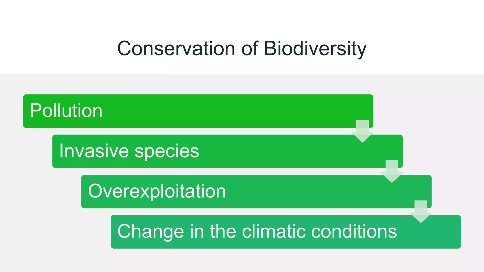 India As A Megadiversity Nation.pptx