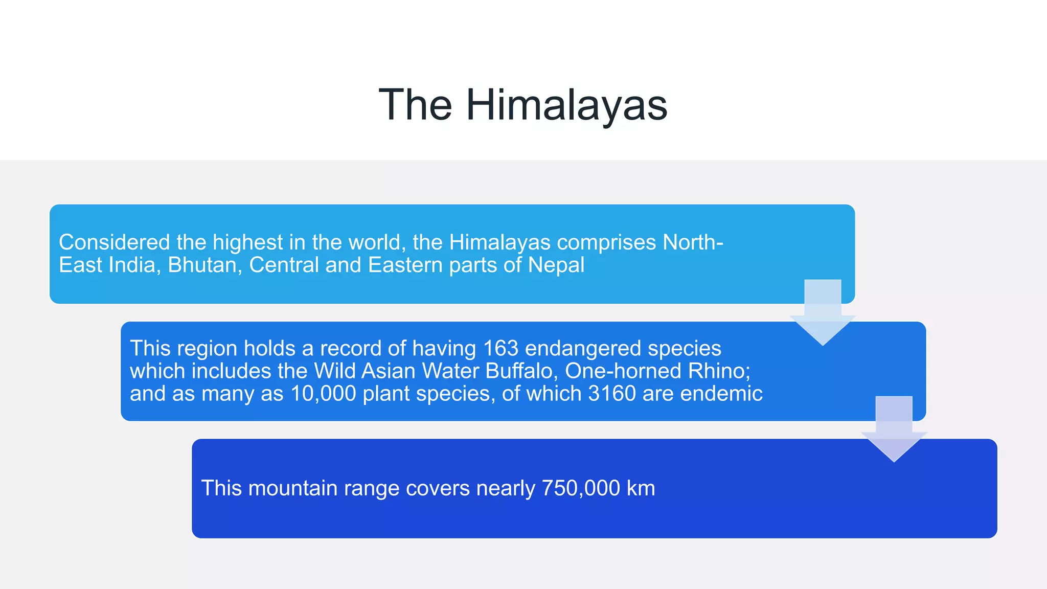India As A Megadiversity Nation.pptx